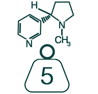 Köp Velo Crispy Peppermint – Ice Cool med nytt namn hos Snuset