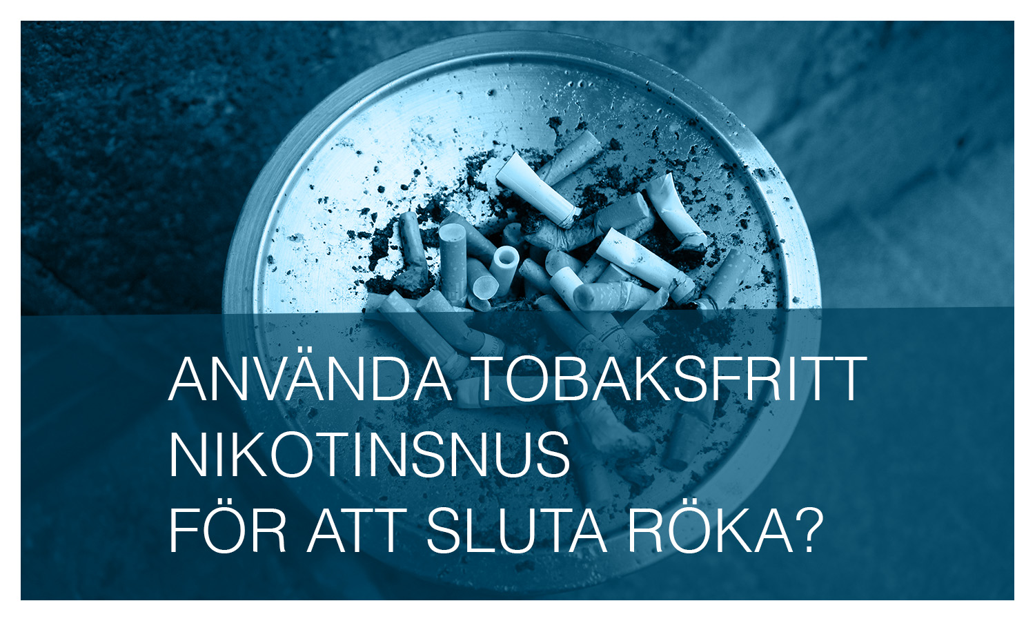 Vad är vitt snus? Allt du behöver veta | Snuset.se