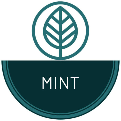 Köp Loop snus på Snuset.se – Alla sorter till onlinepris