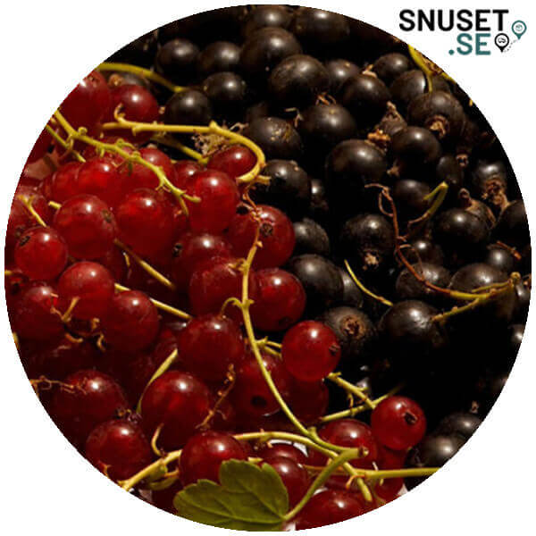 Loop – vitt snus | Snuset.se