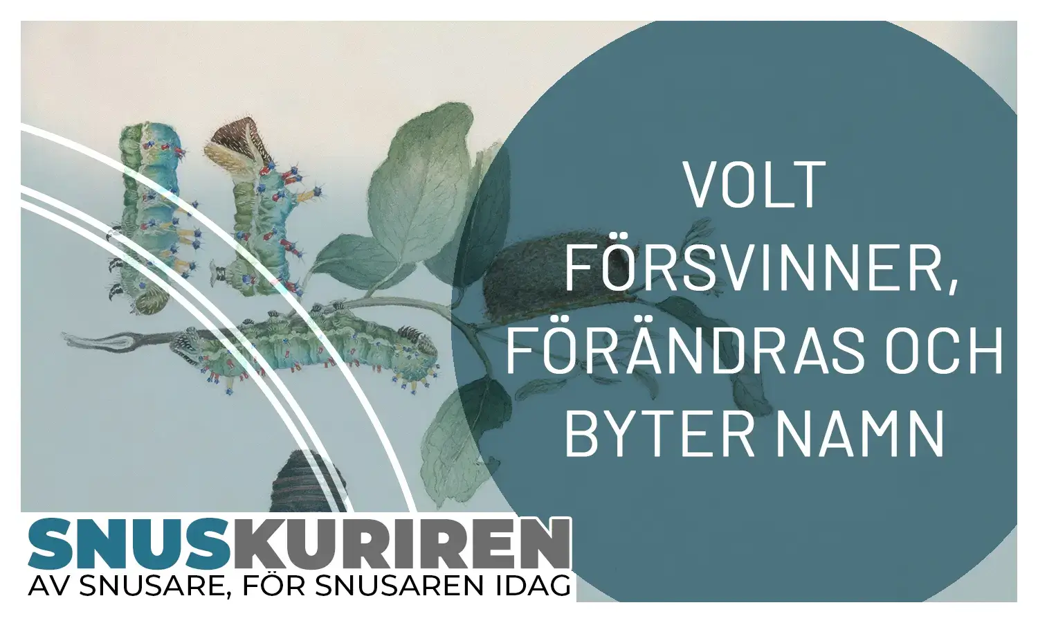 Volt snus försvinner, förändras och byter namn
